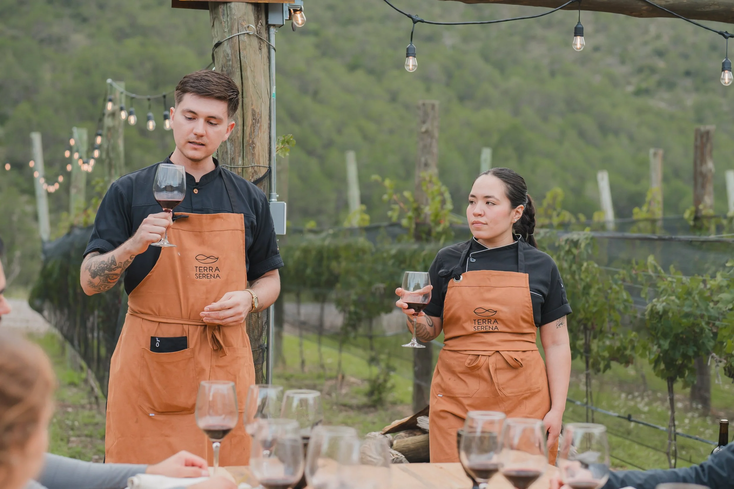 Catas — Bodega Terra Serena