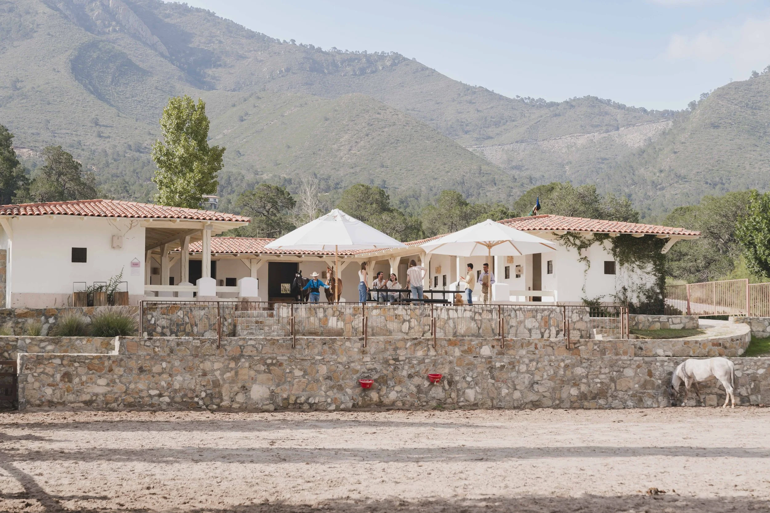 Catas — Bodega Terra Serena