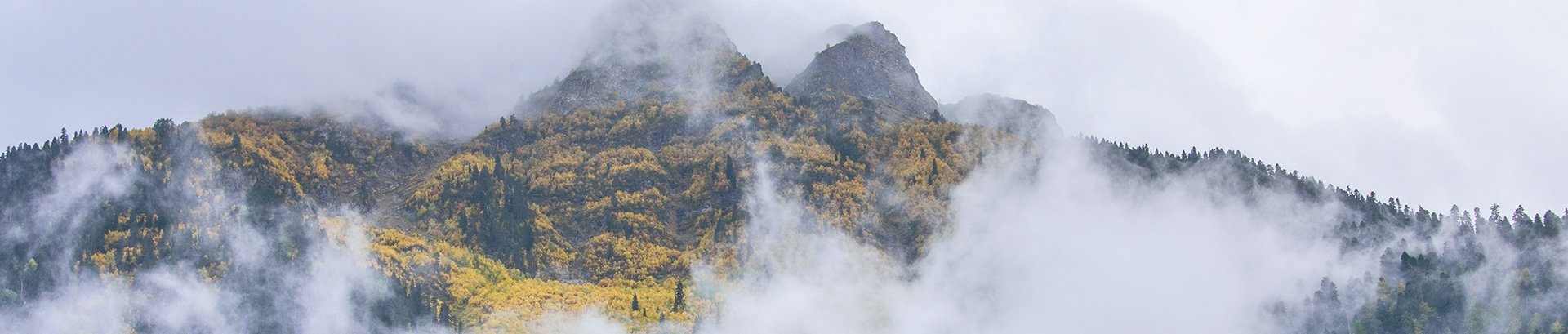 About — Wildfire Interdisciplinary Research Center