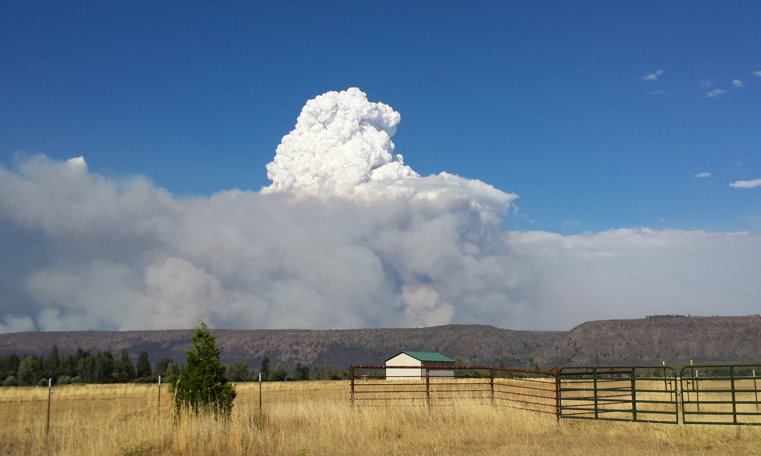 The first step toward a new generation of wildfire models — Wildfire ...