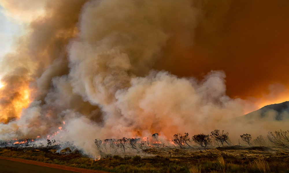 Wildfire Interdisciplinary Research Center