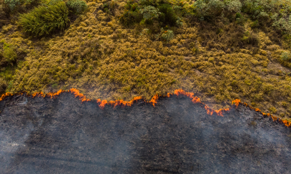 Wildfire Interdisciplinary Research Center