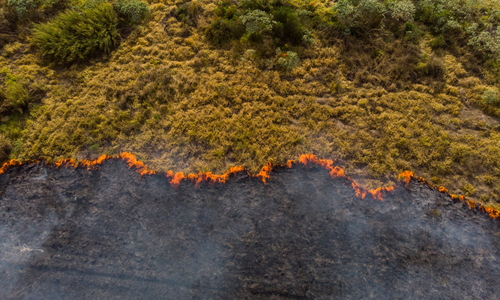 Wildfire Interdisciplinary Research Center