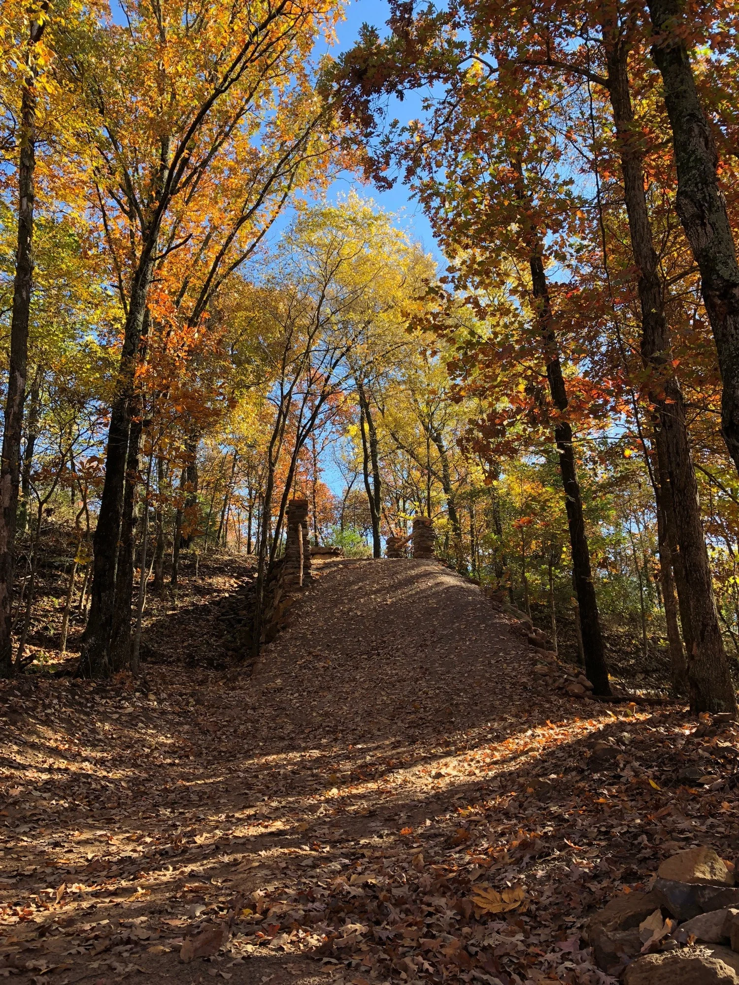 Trail Maps — Trailblazers