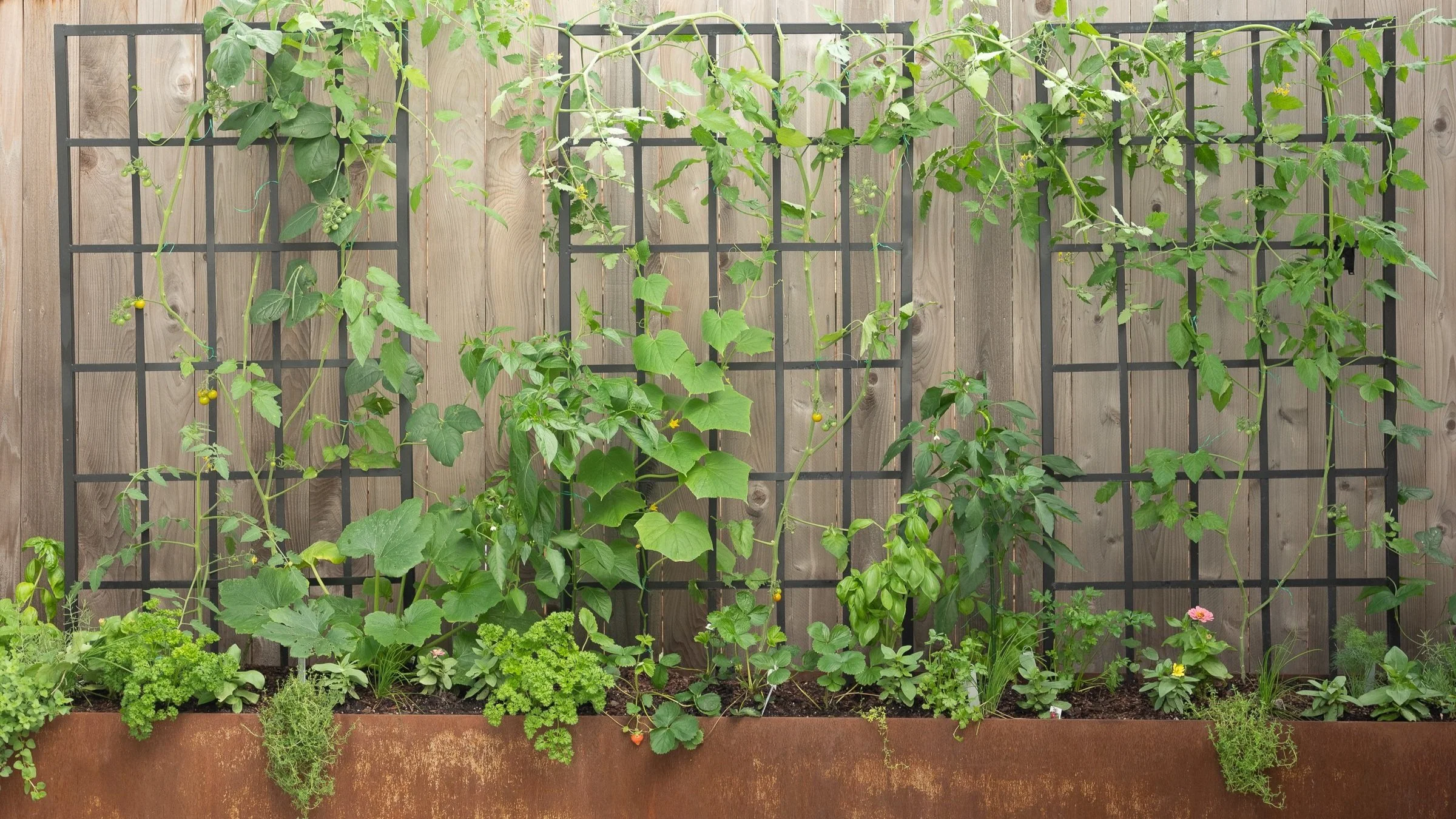 Services Guided Gardener services-guided-gardener
