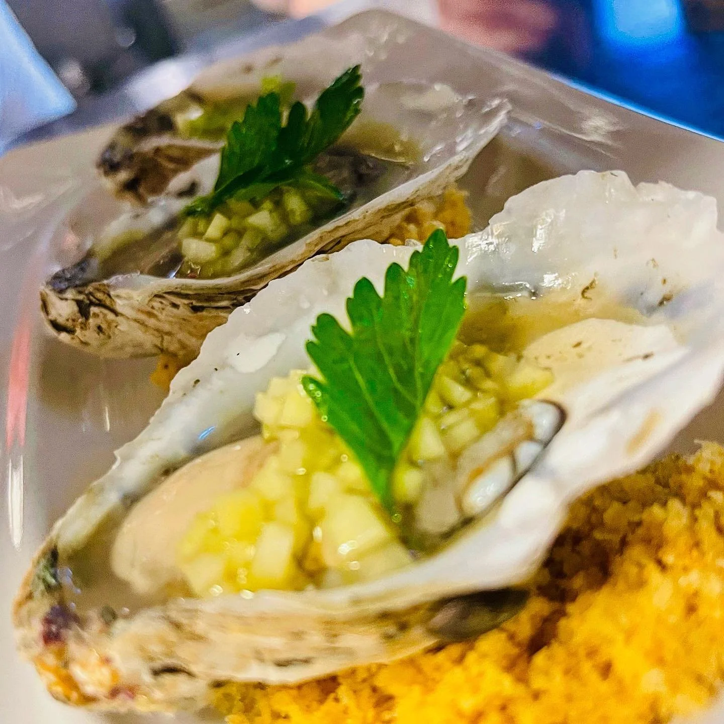 Gallery — Brood Restaurant and Bar