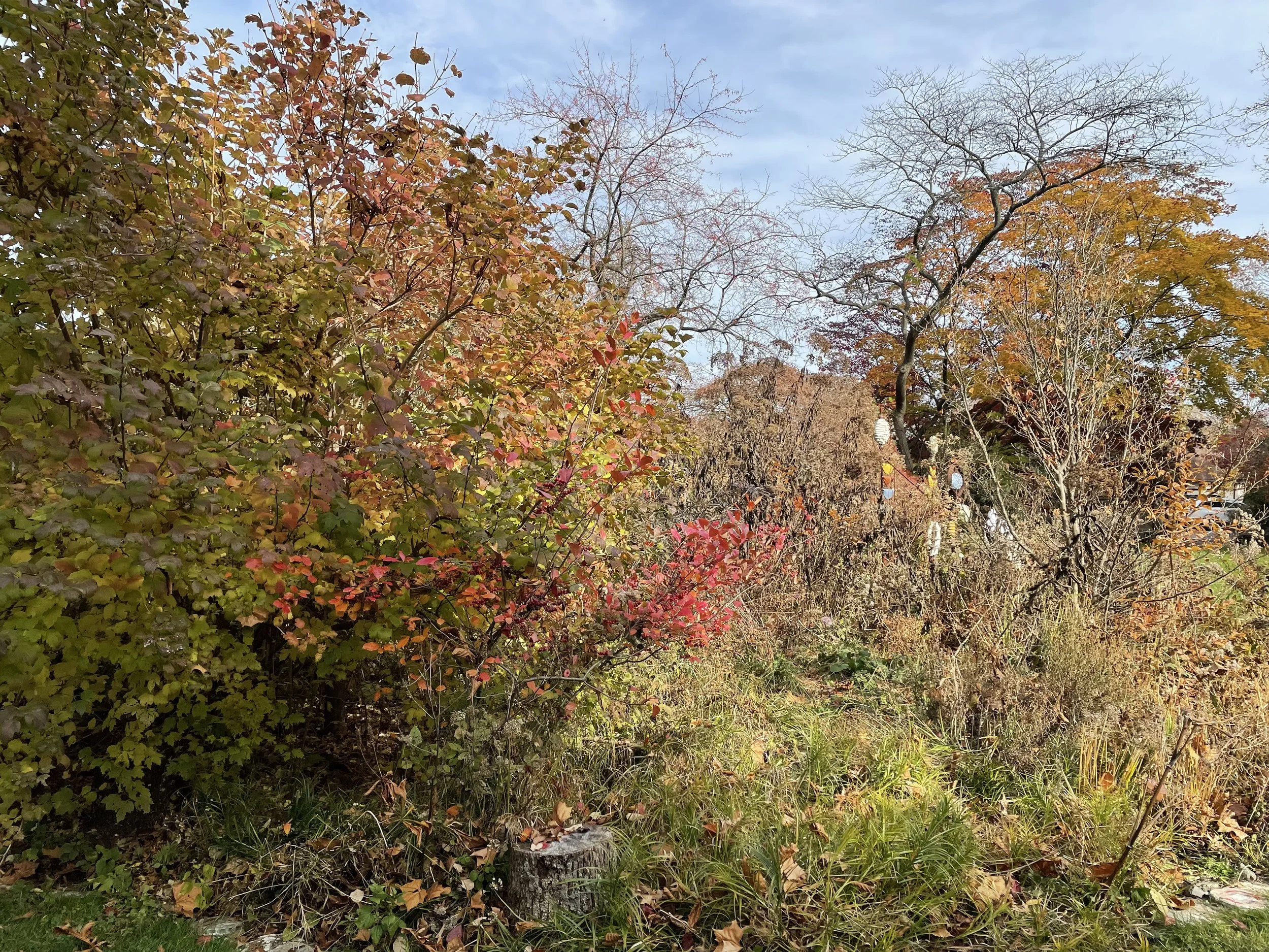 Austin Dodson Garden Design LLC.