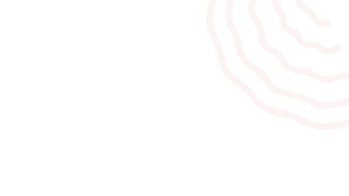 About us | Discover Our Mission — Avante