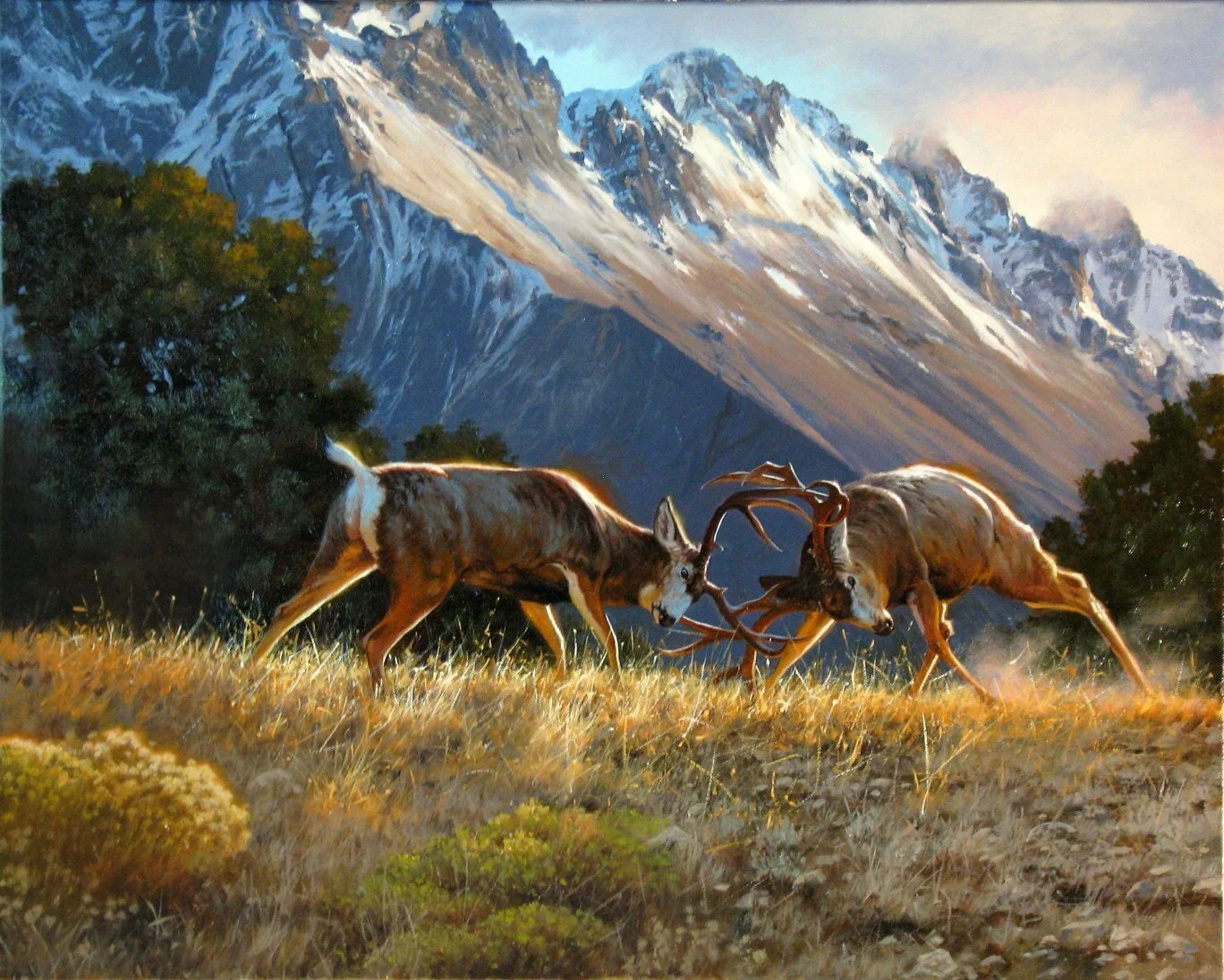 Classes — Pocatello Art Center