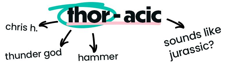 Thoracic rotation explained ? — Move Every Day