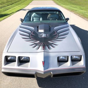 1978-1980 Pontiac Trans Am Decal Kit - 8 Color Options — Restore A ...