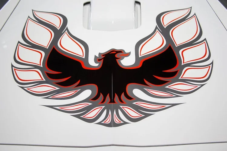 1970-2002 RAMC Pontiac Trans Am Custom Hood Bird Decal Kit — Restore A ...