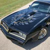 1978-1980 Pontiac Trans Am Decal Kit - 8 Color Options — Restore A ...