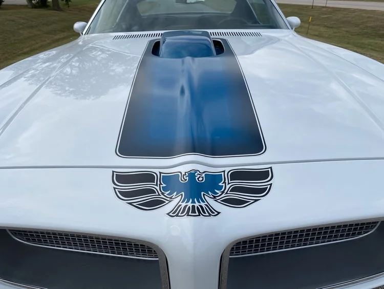 1970-2002 RAMC Pontiac Trans Am Custom Hood Bird Decal Kit — Restore A ...