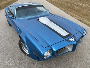 1970-2002 RAMC Pontiac Trans Am Custom Hood Bird Decal Kit — Restore A ...