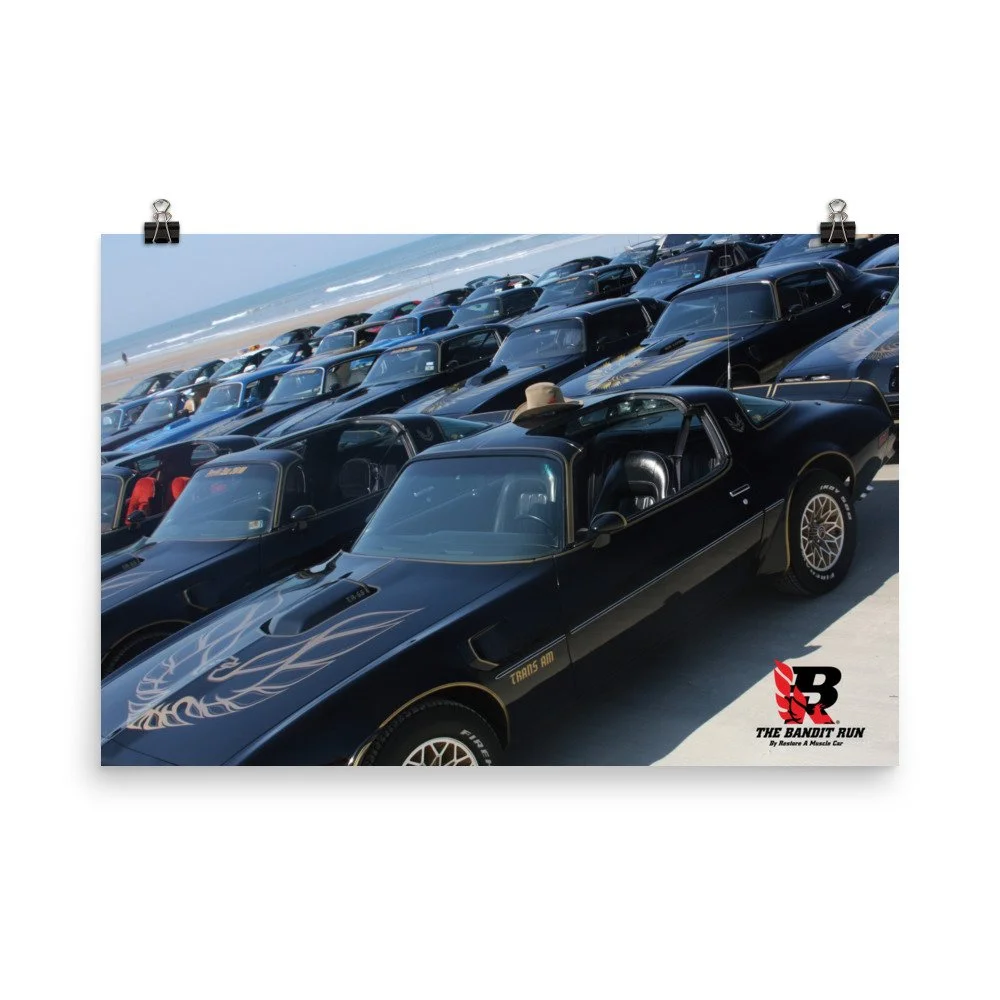 24x36 Matte Paper Poster - 1969 Pontiac Firebird Pro Touring ...