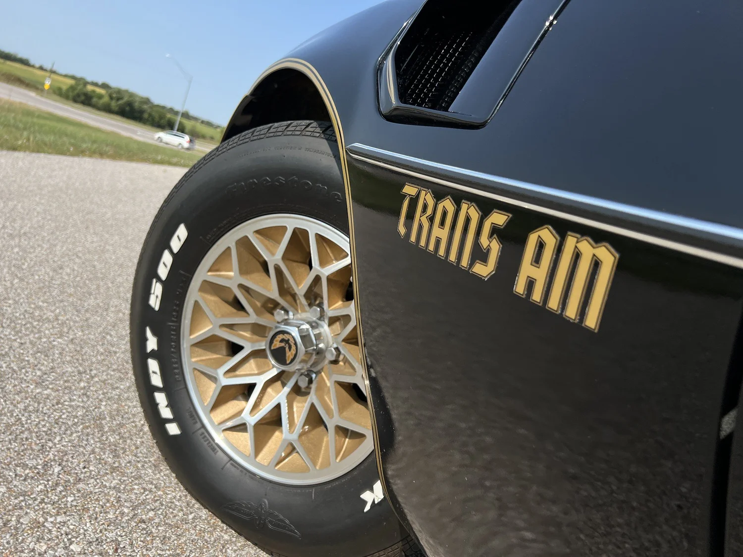1978-1980 Pontiac Trans Am Decal Kit - 8 Color Options — Restore A ...