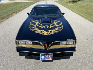 1978-1980 Pontiac Trans Am Decal Kit - 8 Color Options — Restore A ...