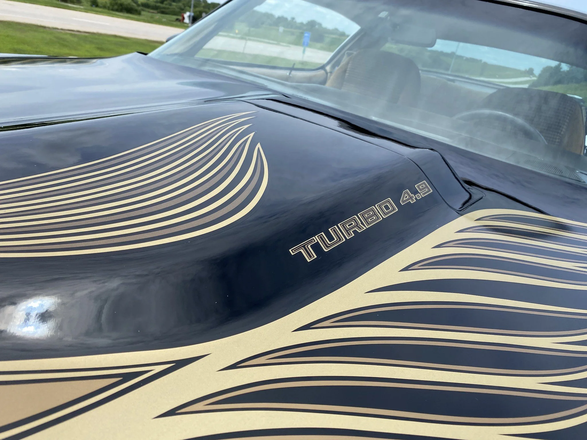 1978-1980 Pontiac Trans Am Decal Kit - 8 Color Options — Restore A ...
