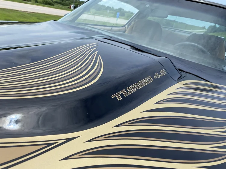 1970-2002 RAMC Pontiac Trans Am Custom Hood Bird Decal Kit — Restore A ...