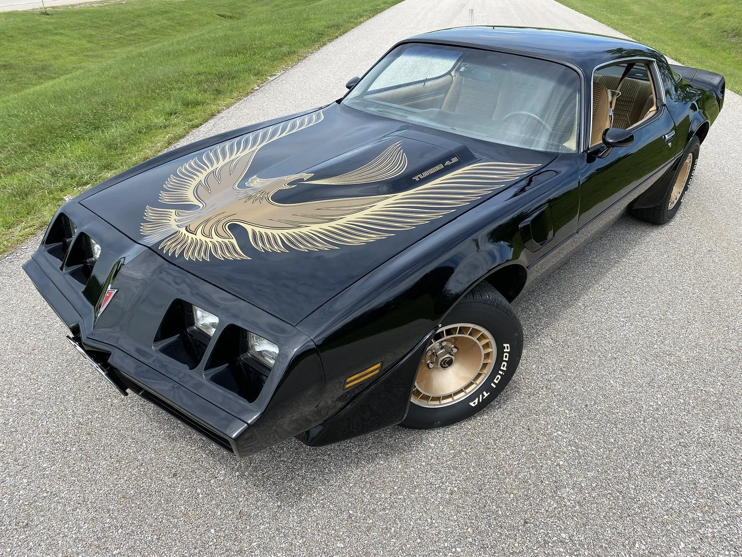 1977-78 Trans Am "Special Edition" Ultimate Decal & Premolded Stripe ...