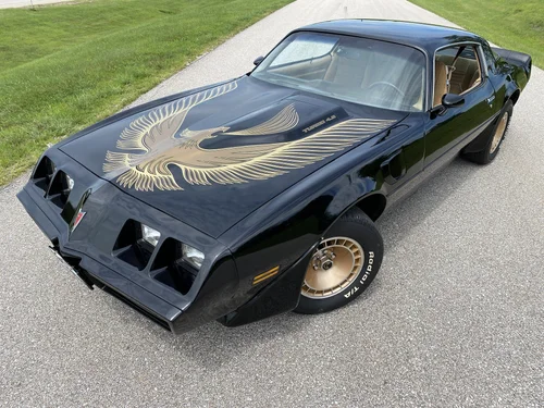 1977-78 Trans Am "Special Edition" Ultimate Decal & Premolded Stripe ...