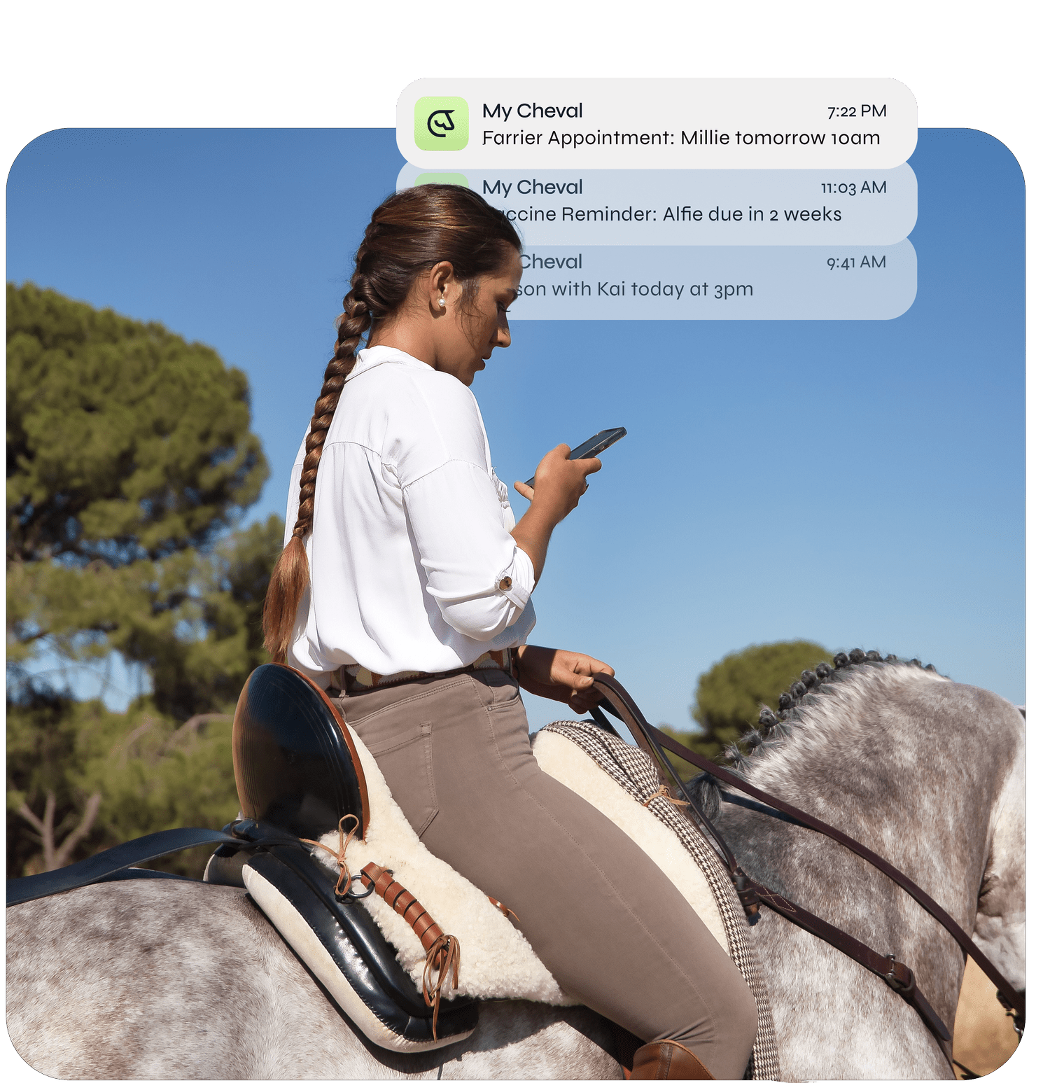 My Cheval - FREE Horse Management App for Horse Owners