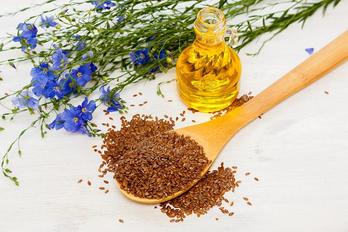 Flaxseed for Dogs & Cats: Health Benefits, Nutrition & Safe Feeding ...