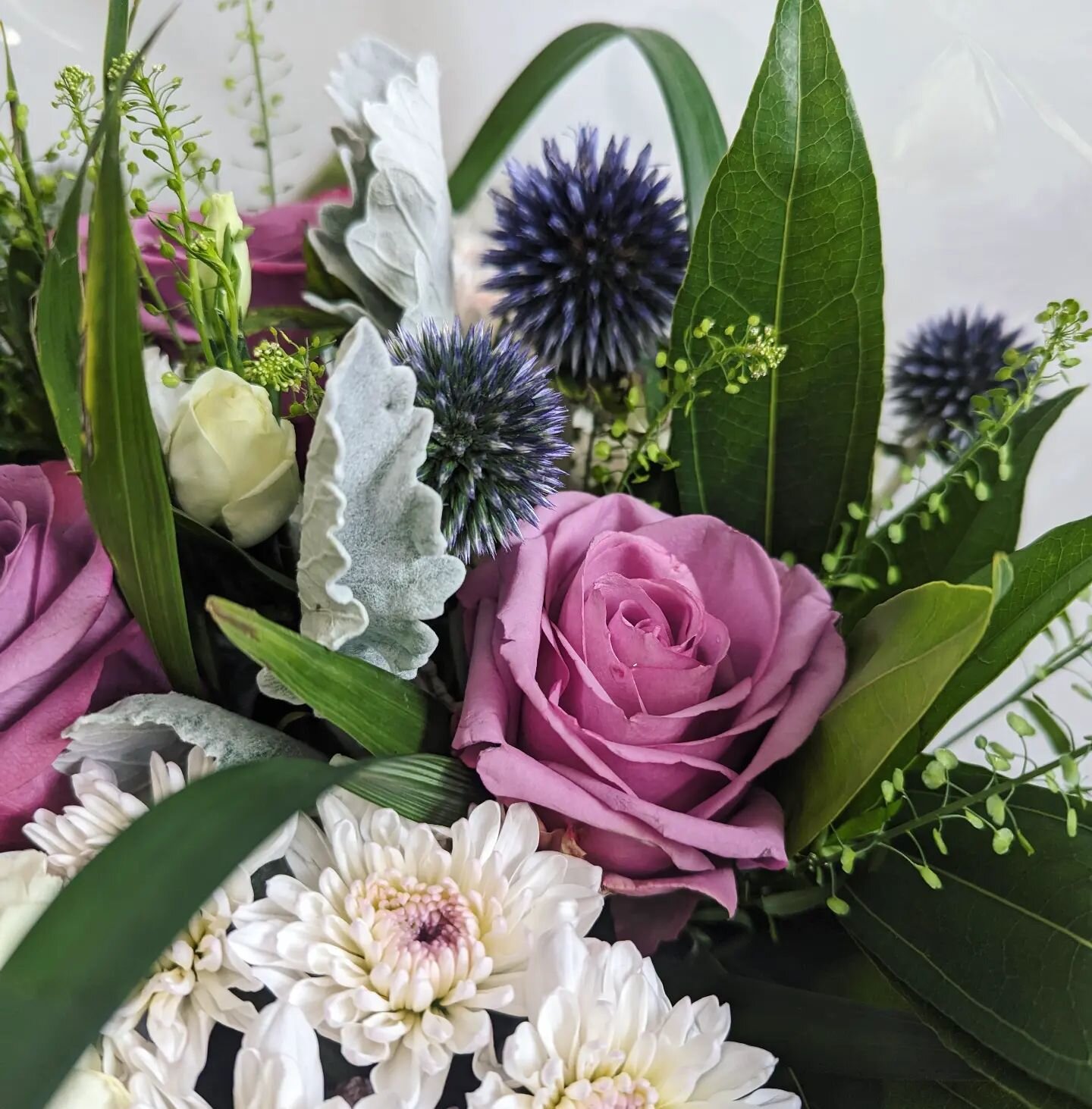 Flower Distributors Ontario | Best Flower Site