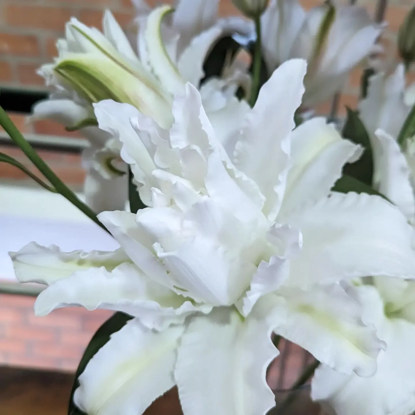 United Floral Distributors