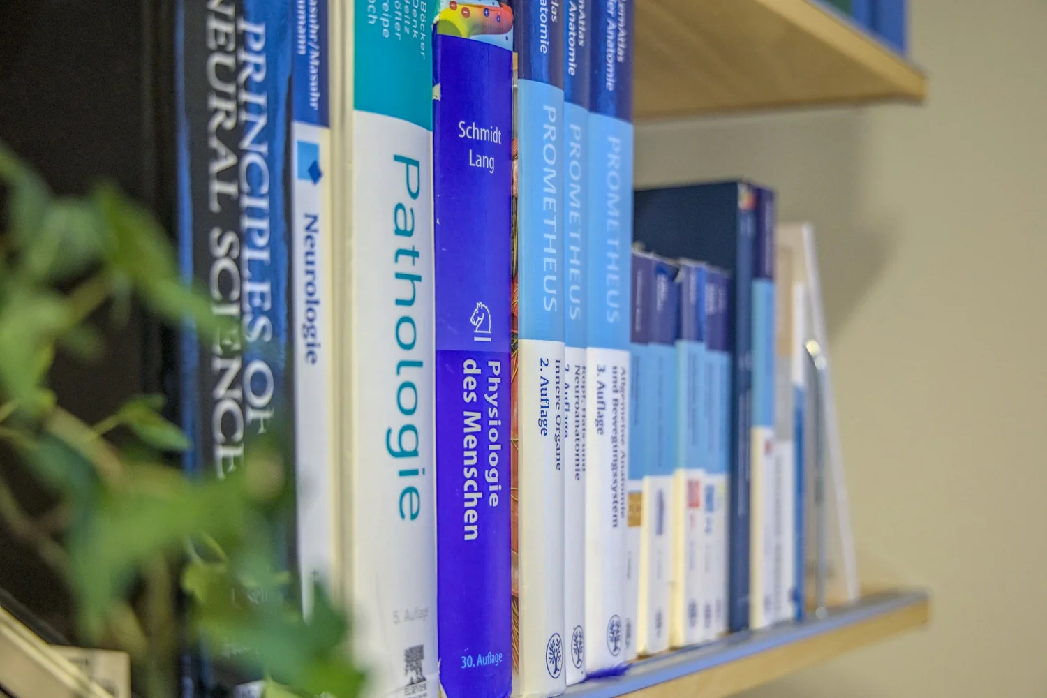 Research — Kohler Mito Lab