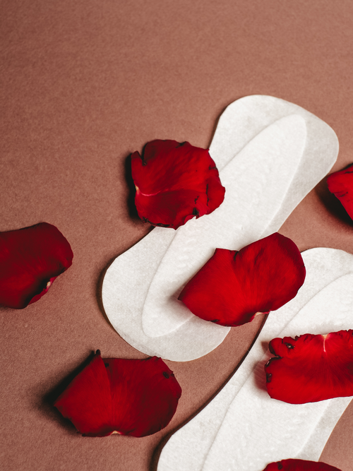 The Holistic Bee- Your Road to Holistic Wellness Starts Here