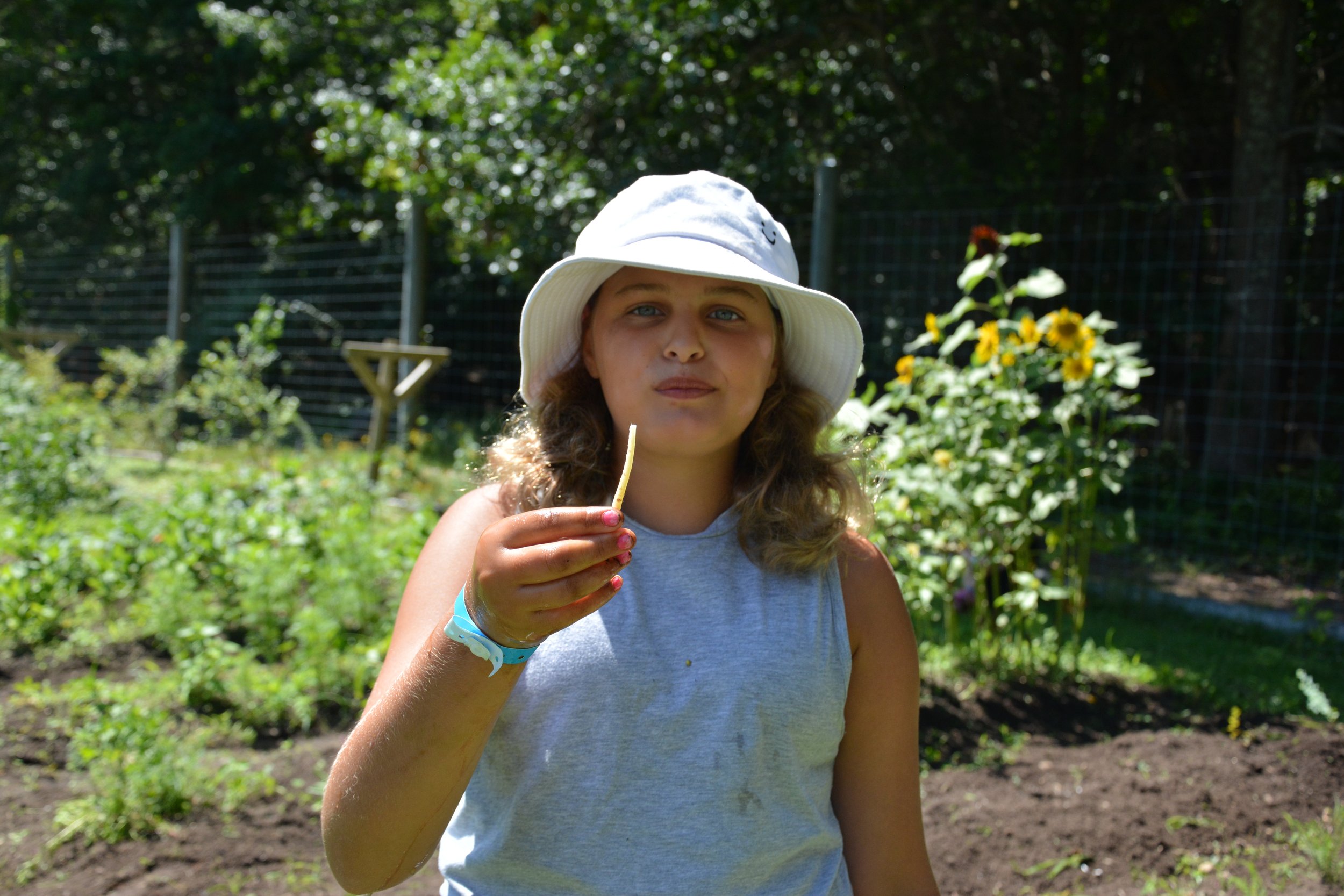 Activities — Peconic Dunes Camp