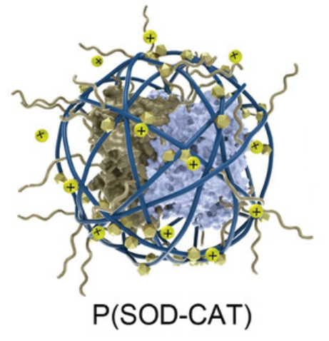 Publications — Duo Xu Lab @ UW-Madison | Biochemistry