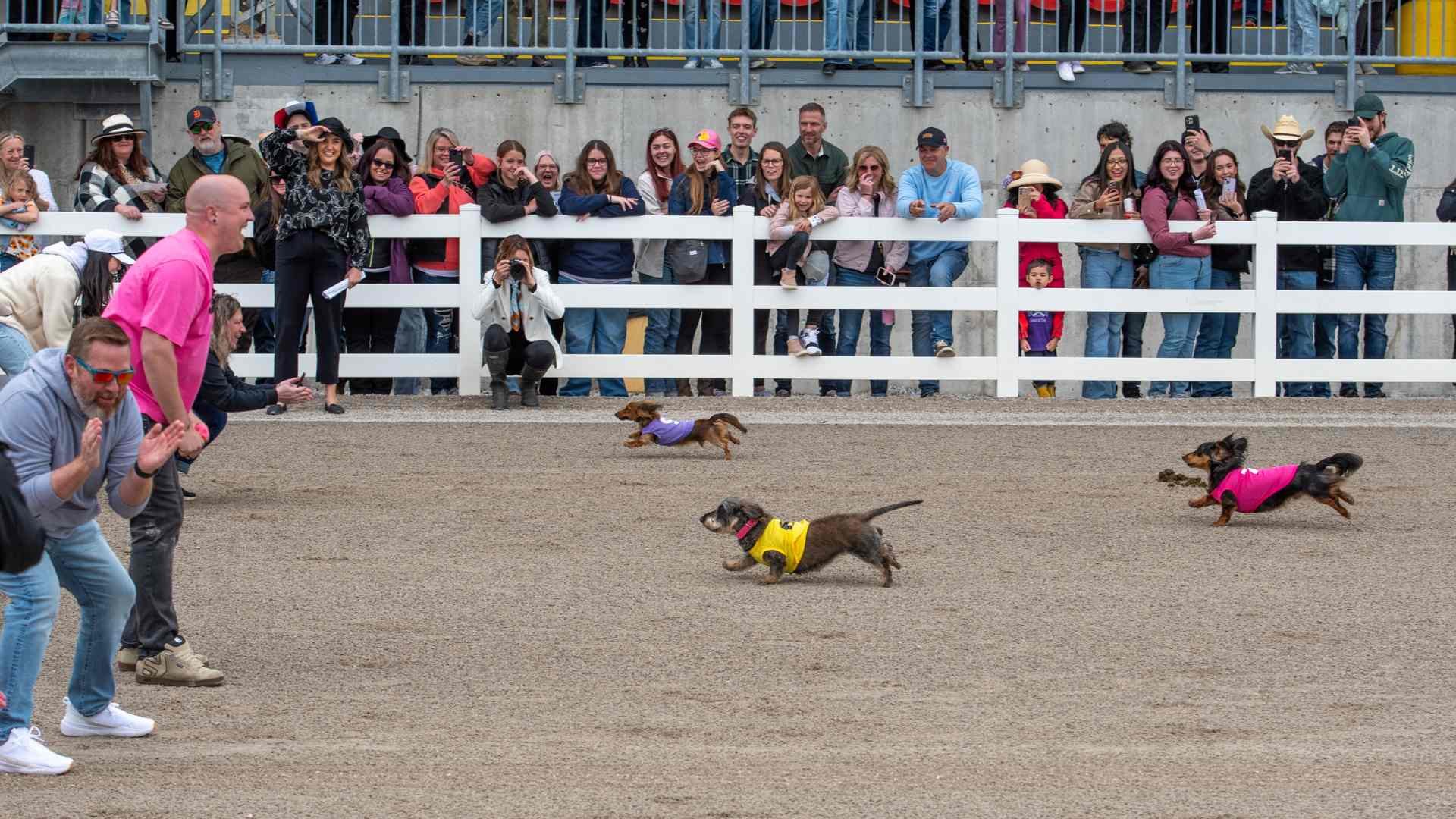 Derby Day — The Raceway at Western Fair District