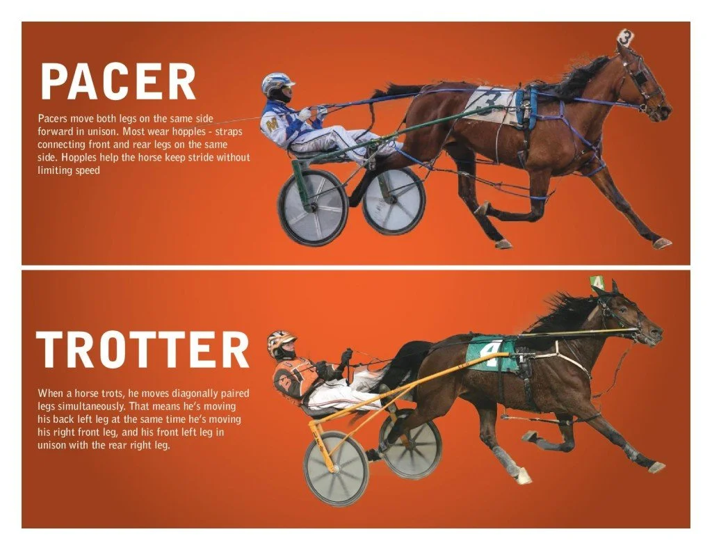 How to Read a Race Program — The Raceway at Western Fair District