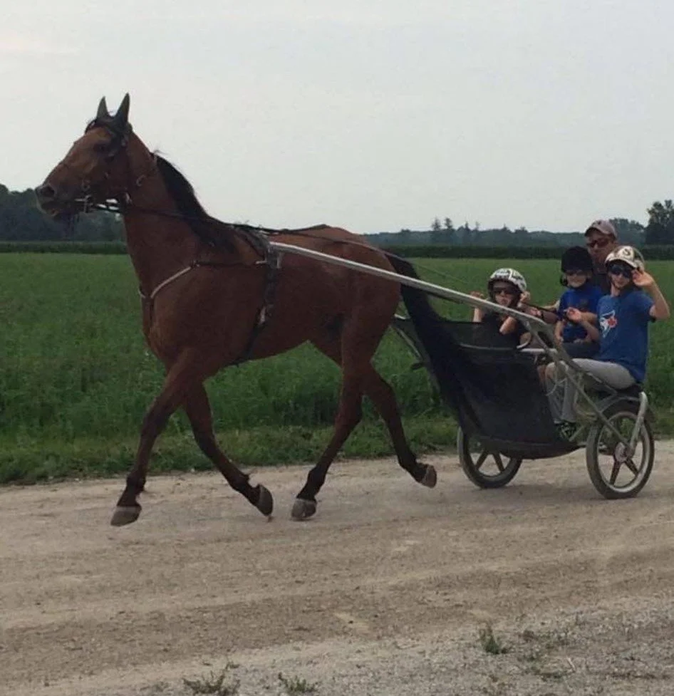 Brodys Scrapper Picture Parade and Race Replay — The Raceway at Western ...