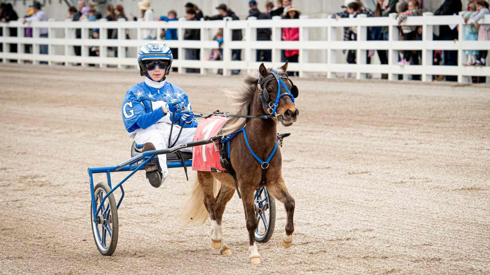 Derby Day — The Raceway at Western Fair District