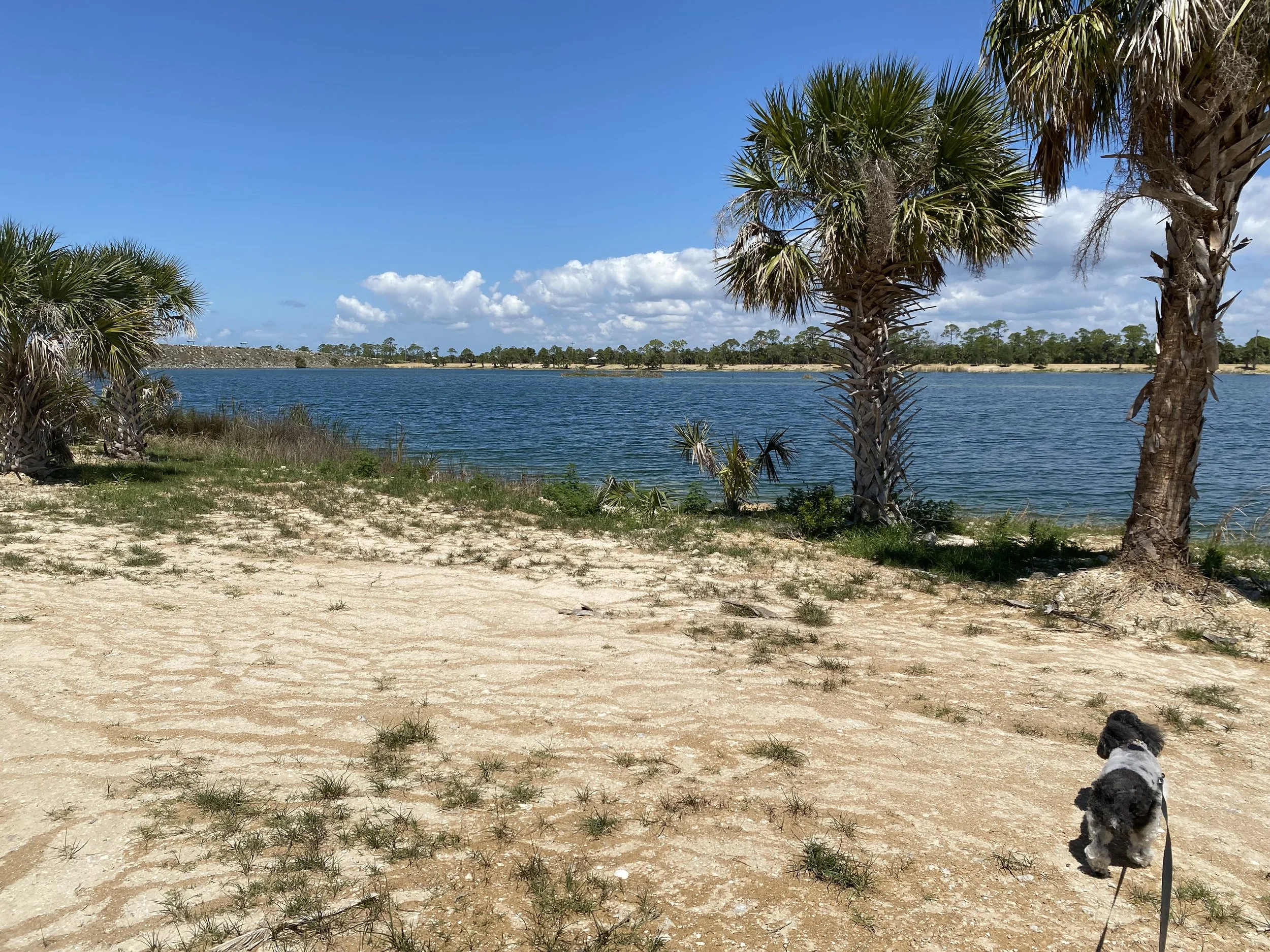 Crystal Lake Park — Northwest Cape Coral Neighborhood Association