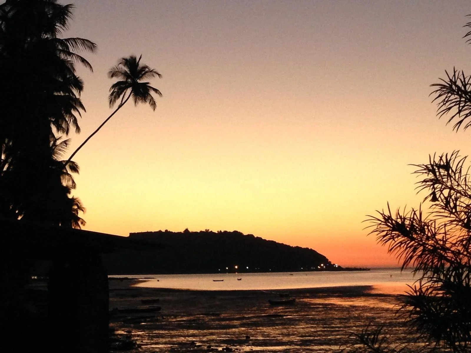 The History of the Goan Music Scene — Argos Destinations