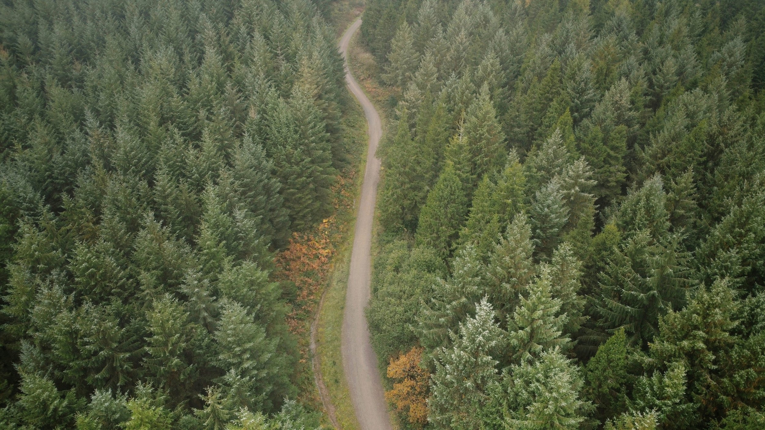 Blog — Chris Aldred Photography