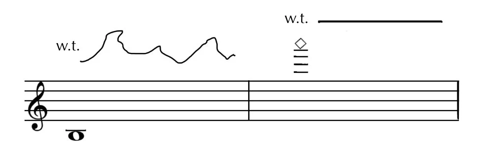 Extended Techniques: Flute — RACHEL BEETZ