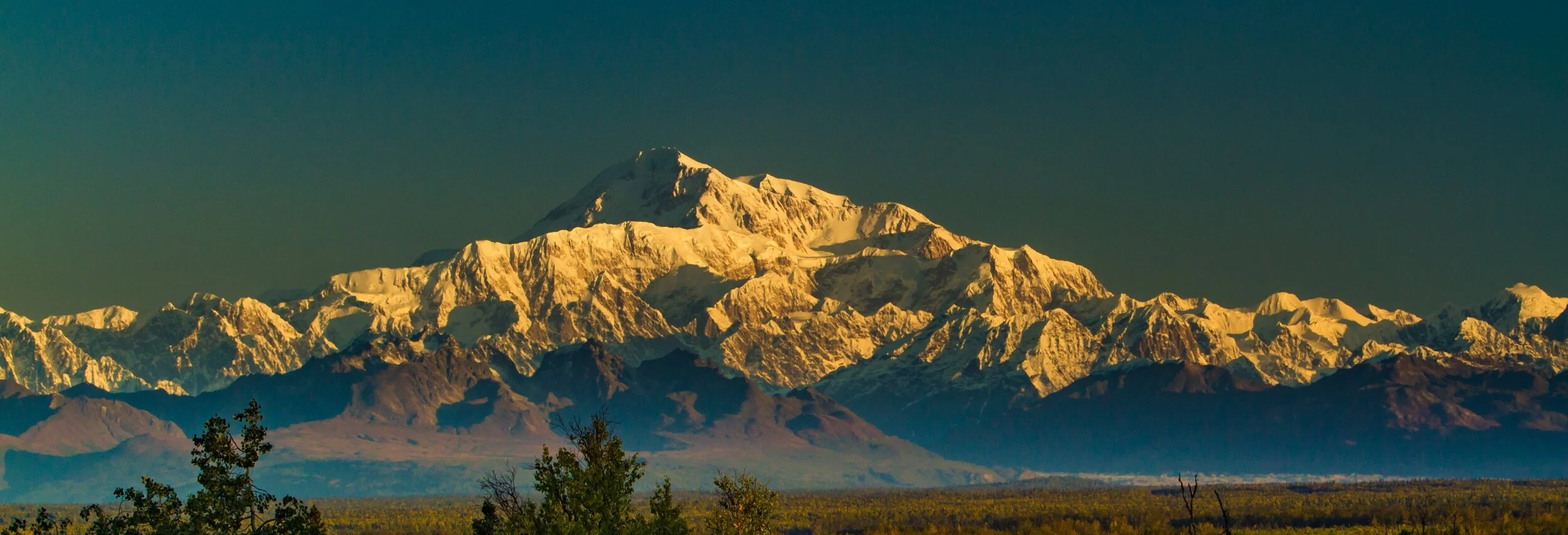 Single Engine Red — Denali Brewing