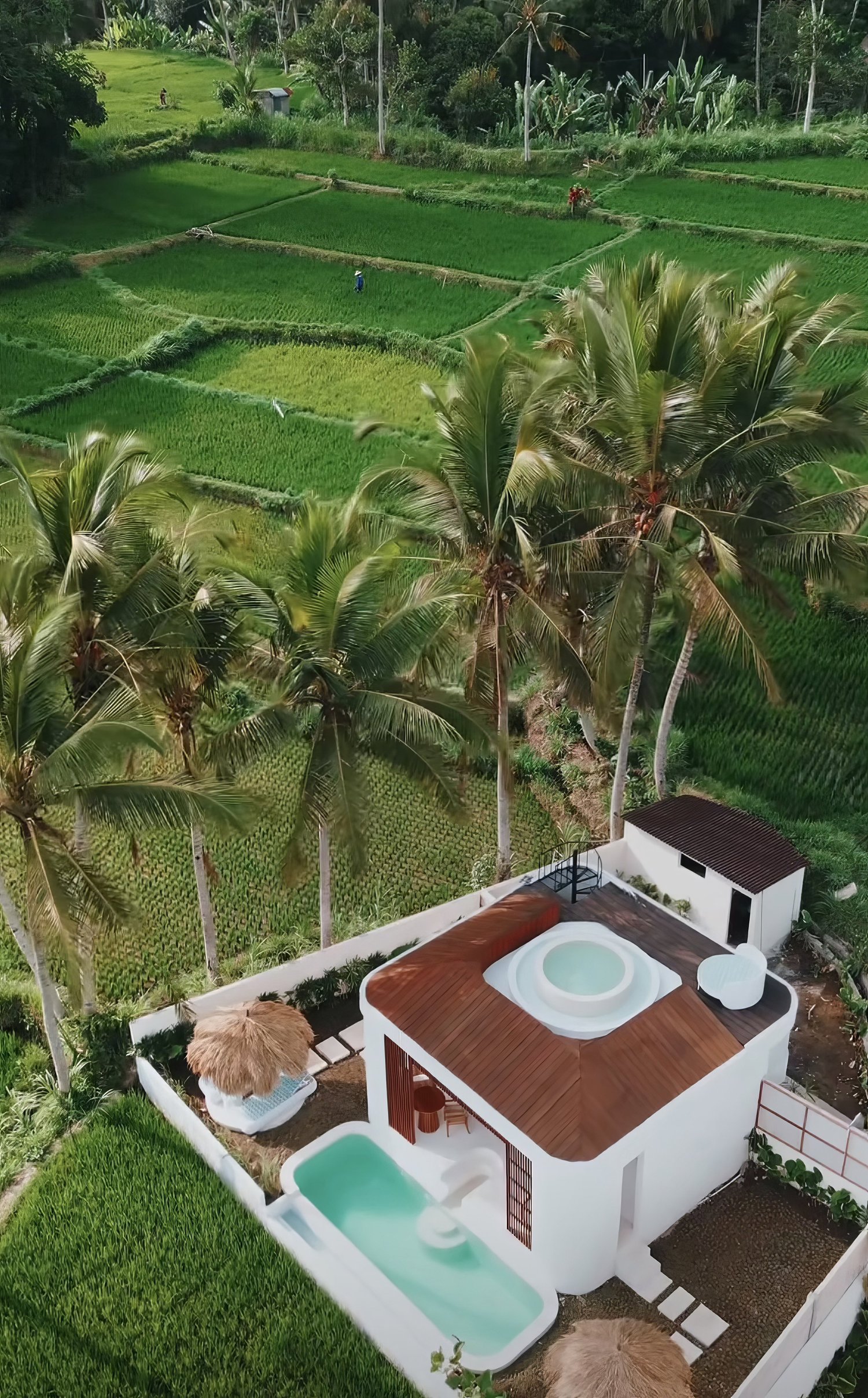 Lux Projects Bali | Boutique villa development with rooftop pool Bali ...