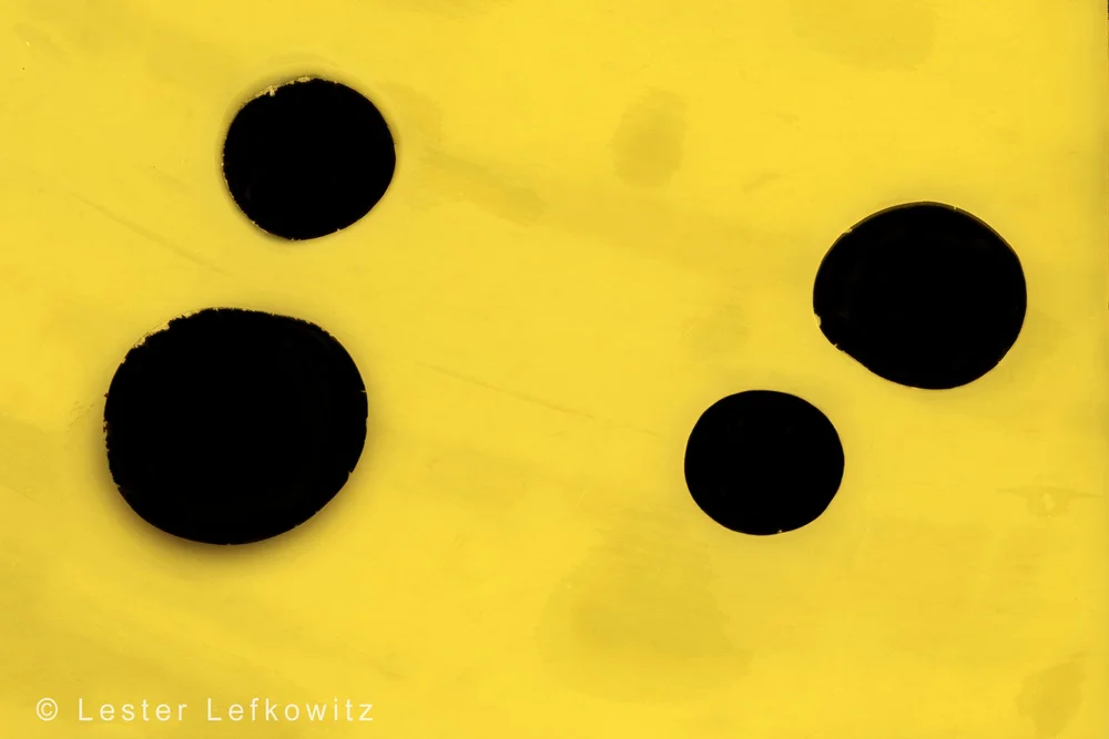 Food — Lester Lefkowitz Macro Photography