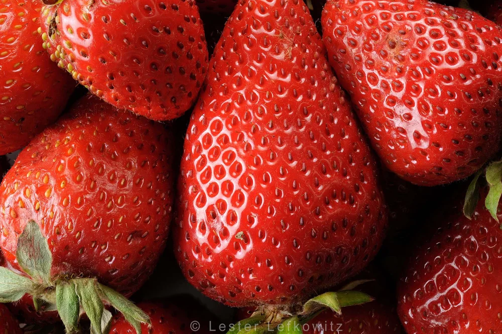 Food — Lester Lefkowitz Macro Photography