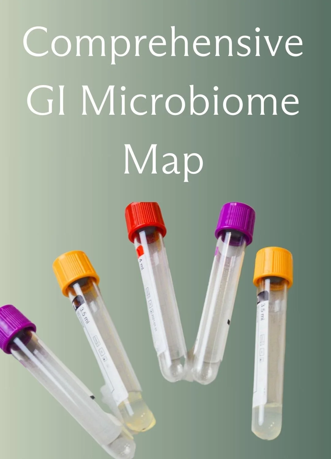 COMPREHENSIVE GI MICROBIOME MAP — Gutsy Health Co.