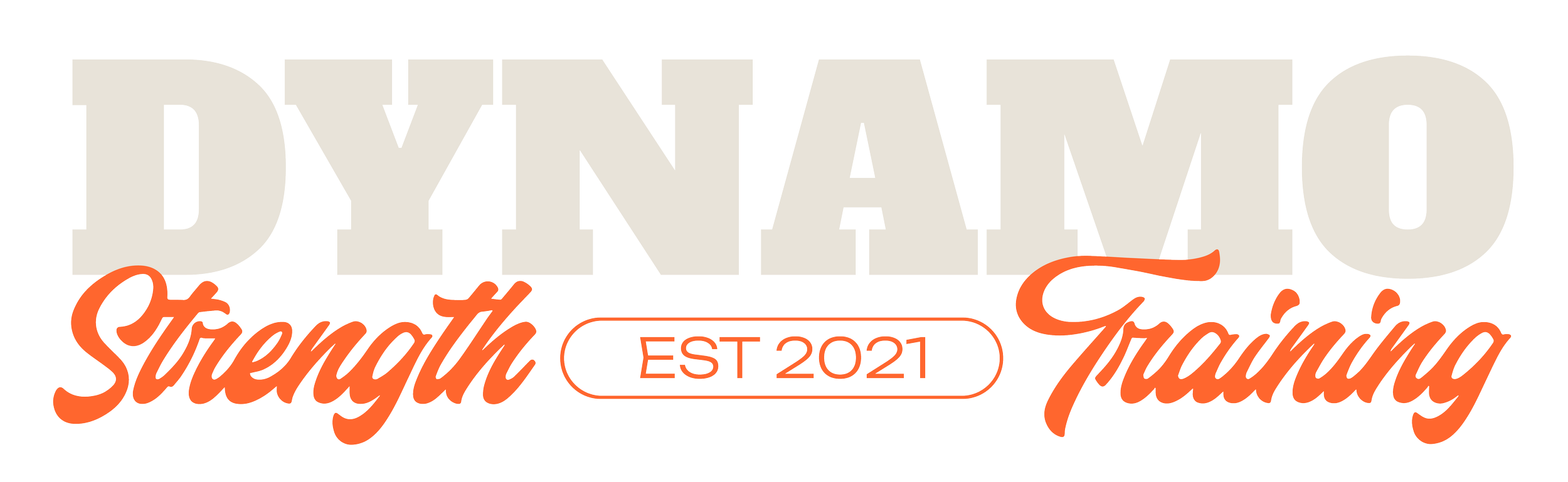 Dynamo Gym – Small and Friendly Strength Training Gym in Hove