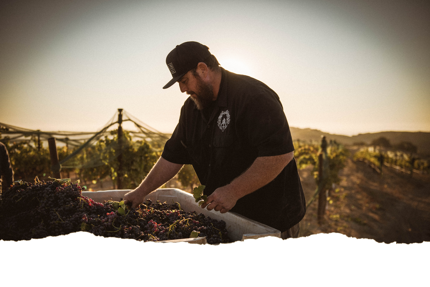 McPrice Myers Winery | Rhône-Style Wines in Paso Robles | Handcrafted ...