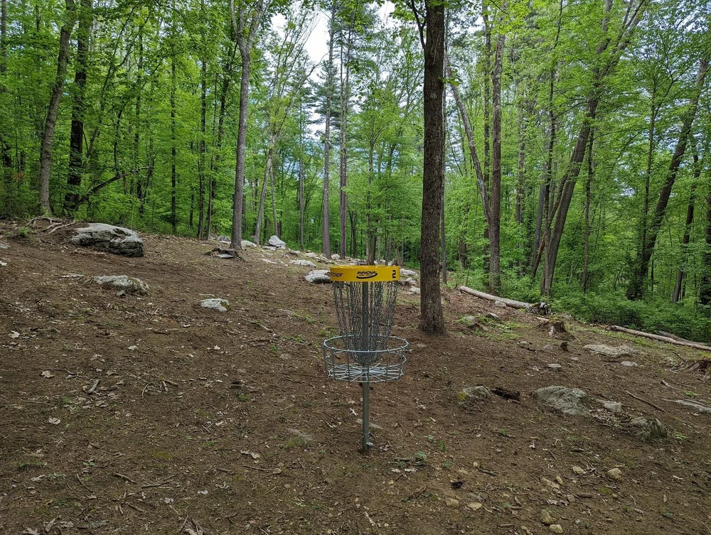 Oakholm Disc Golf